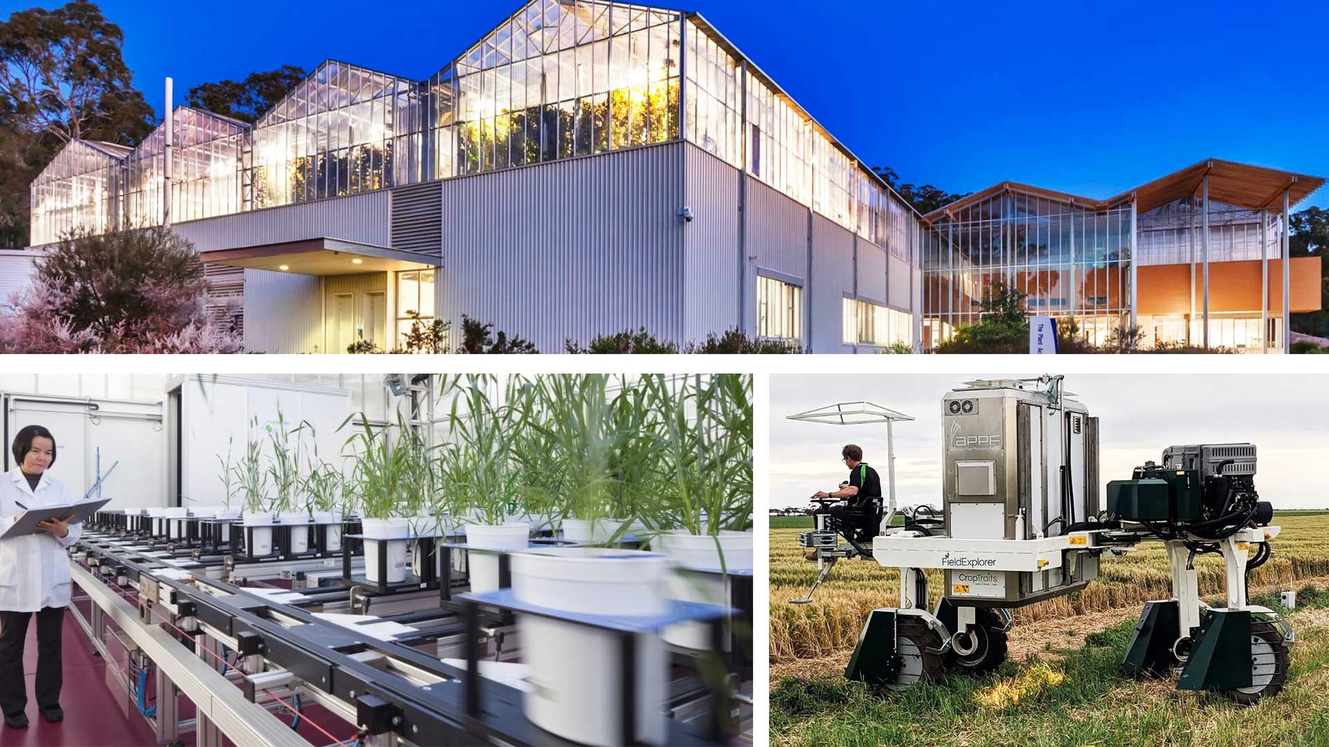 World-leading plant imaging and analysis at Adelaide University's Waite ...