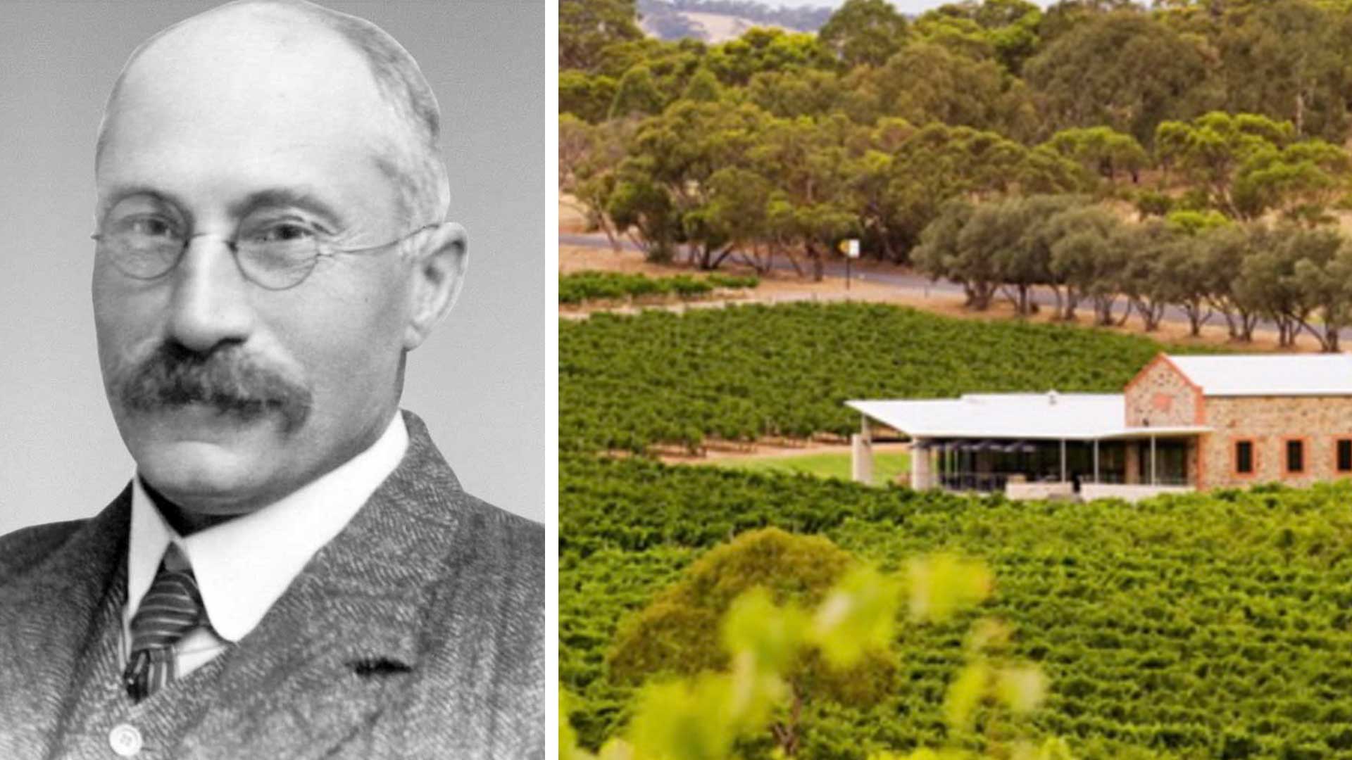 William Angove's Tea Tree Gully vineyard follows other Adelaide doctors ...