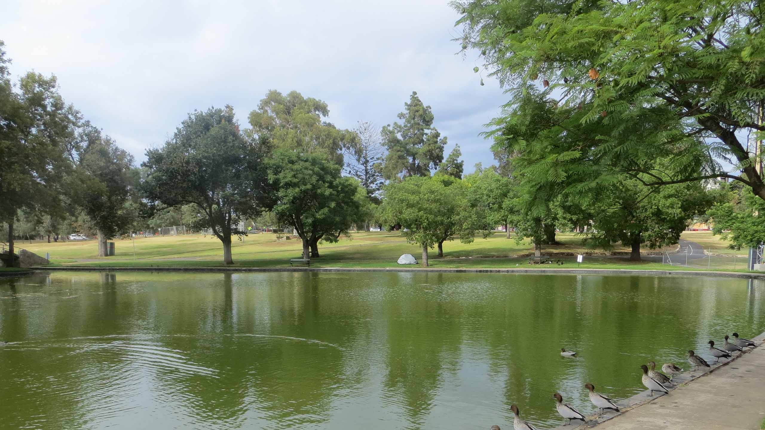 Parks and Play | Glenelg's Luna Park taken in Sydney in the 1930s ...
