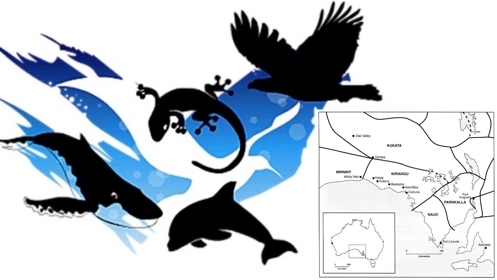 Barngarla/Parnkalla – singers to the sharks – range widely over pre ...