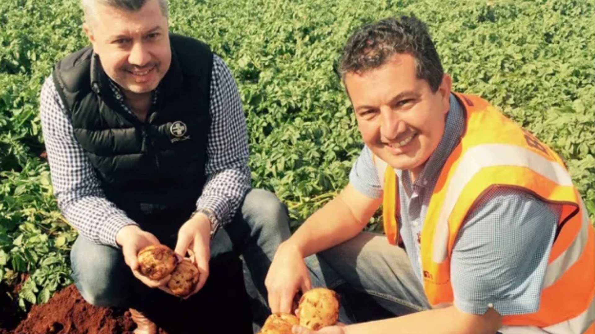 Mitolo Family Farms, Australia's biggest potato company from north of ...