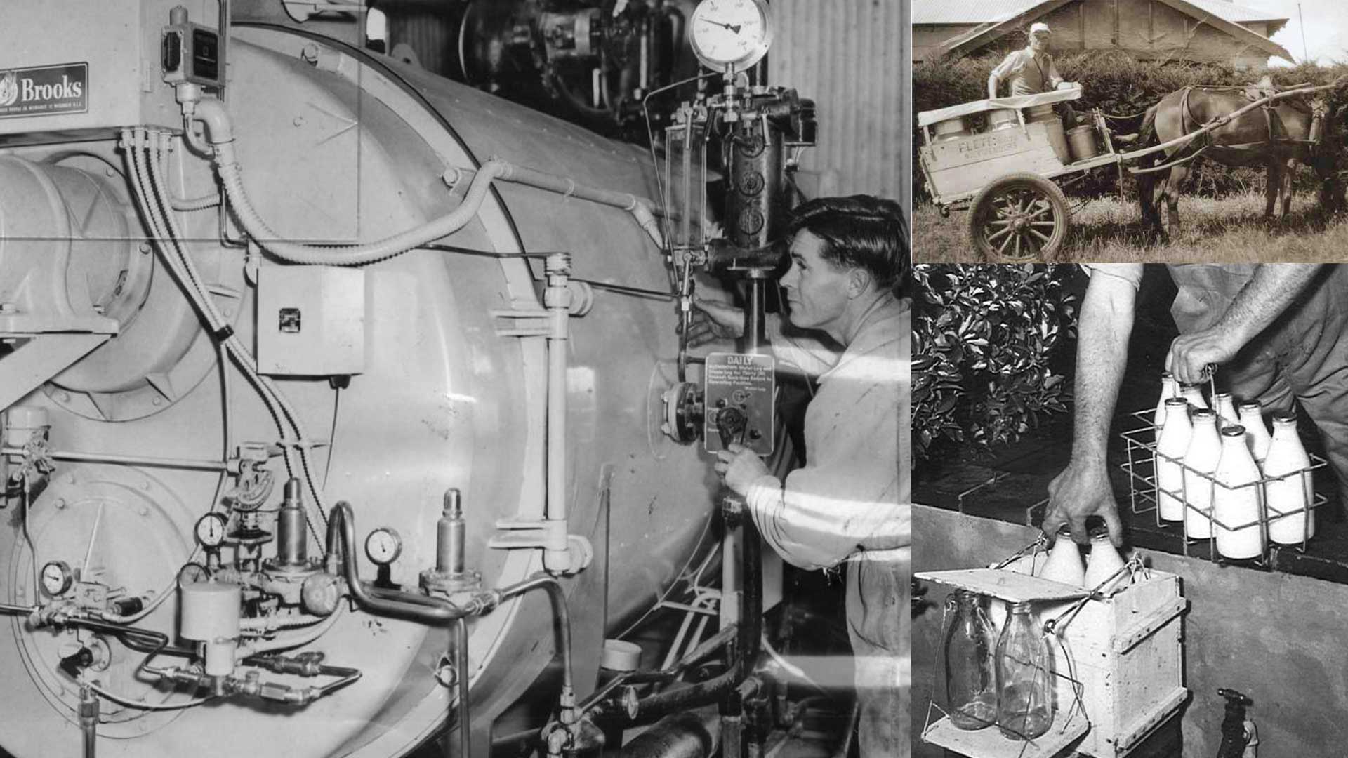 Amscol sets the health standards in milk from Adelaide city factory ...