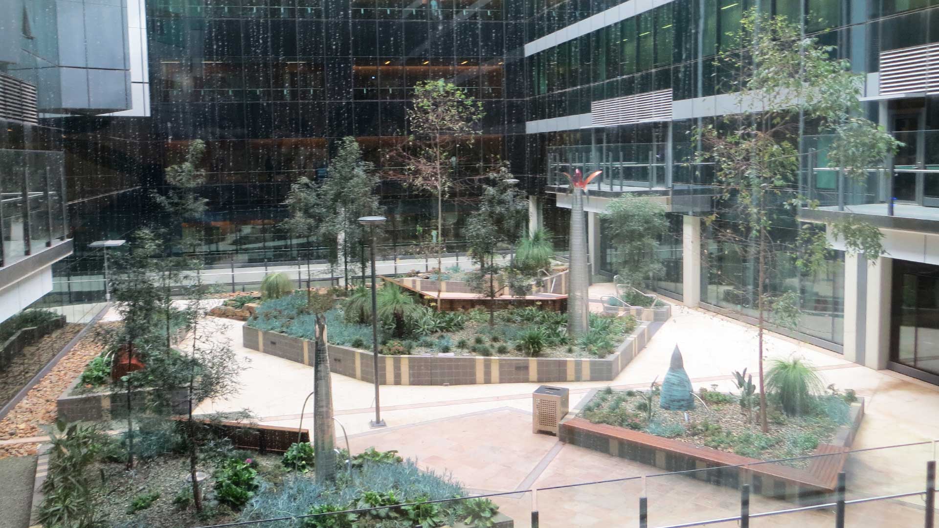 Royal Adelaide Hospital