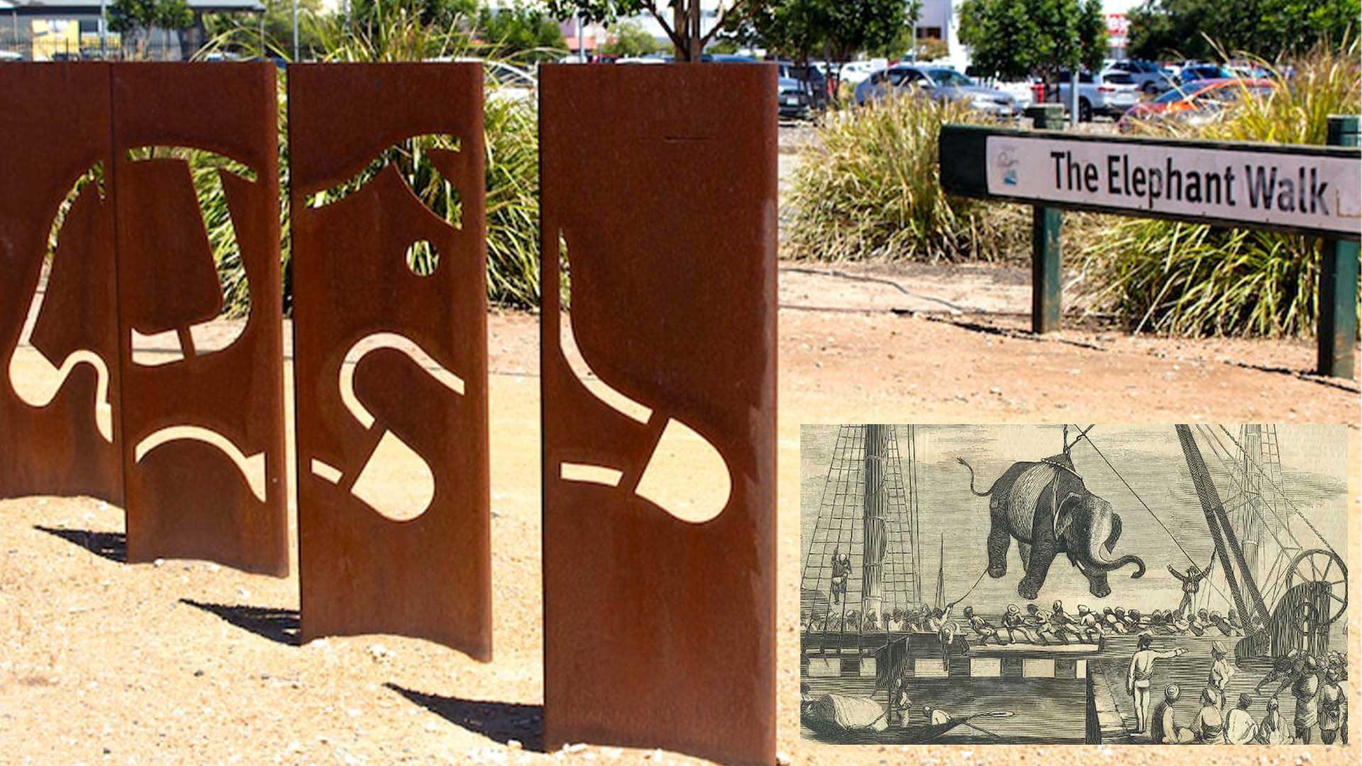 Tommy the elephant in Adelaide from 1854; a lure for Cremorne and Gepps ...