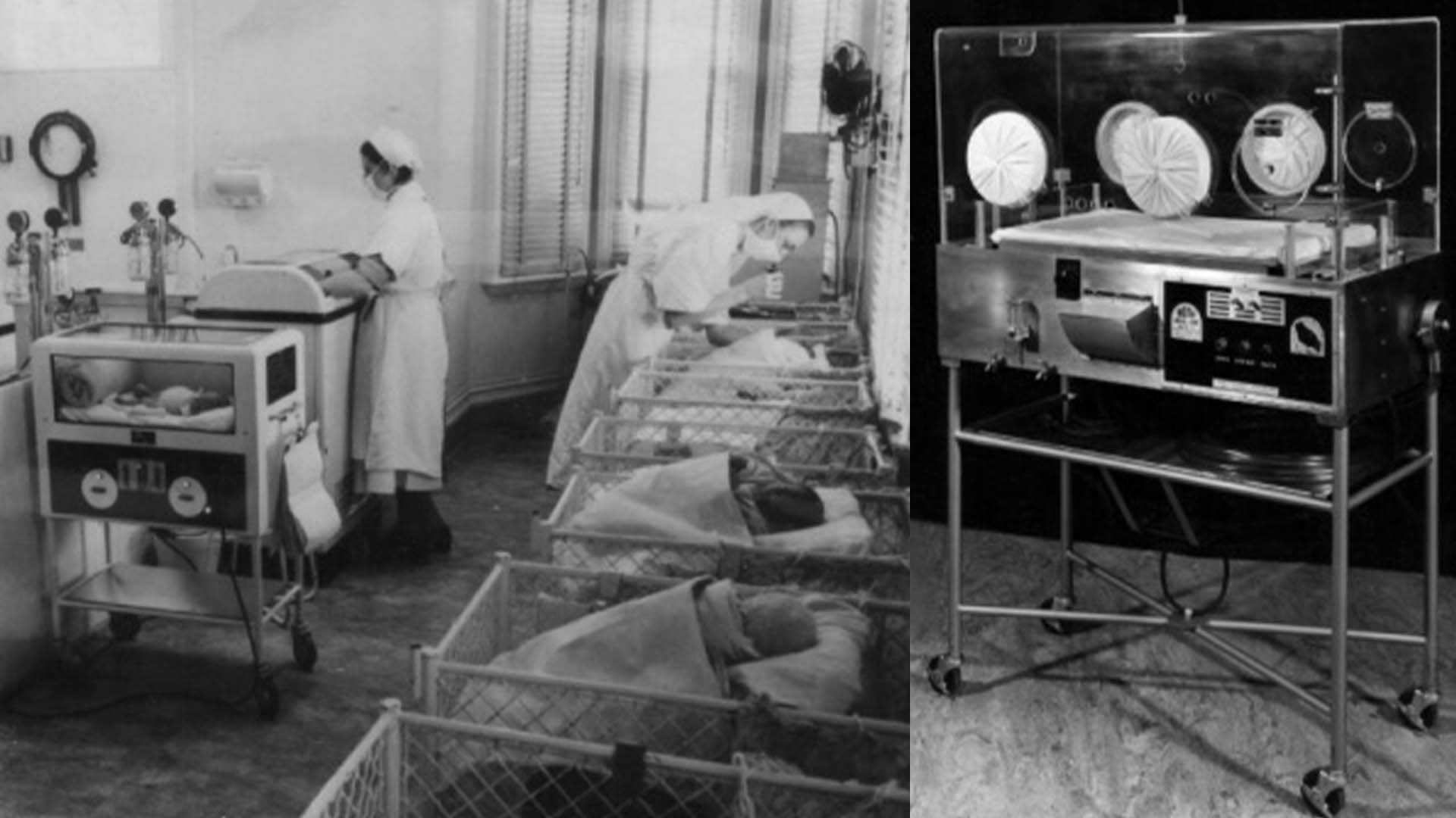The Both brothers Ted and Don produce humid cribs to overcome high ...