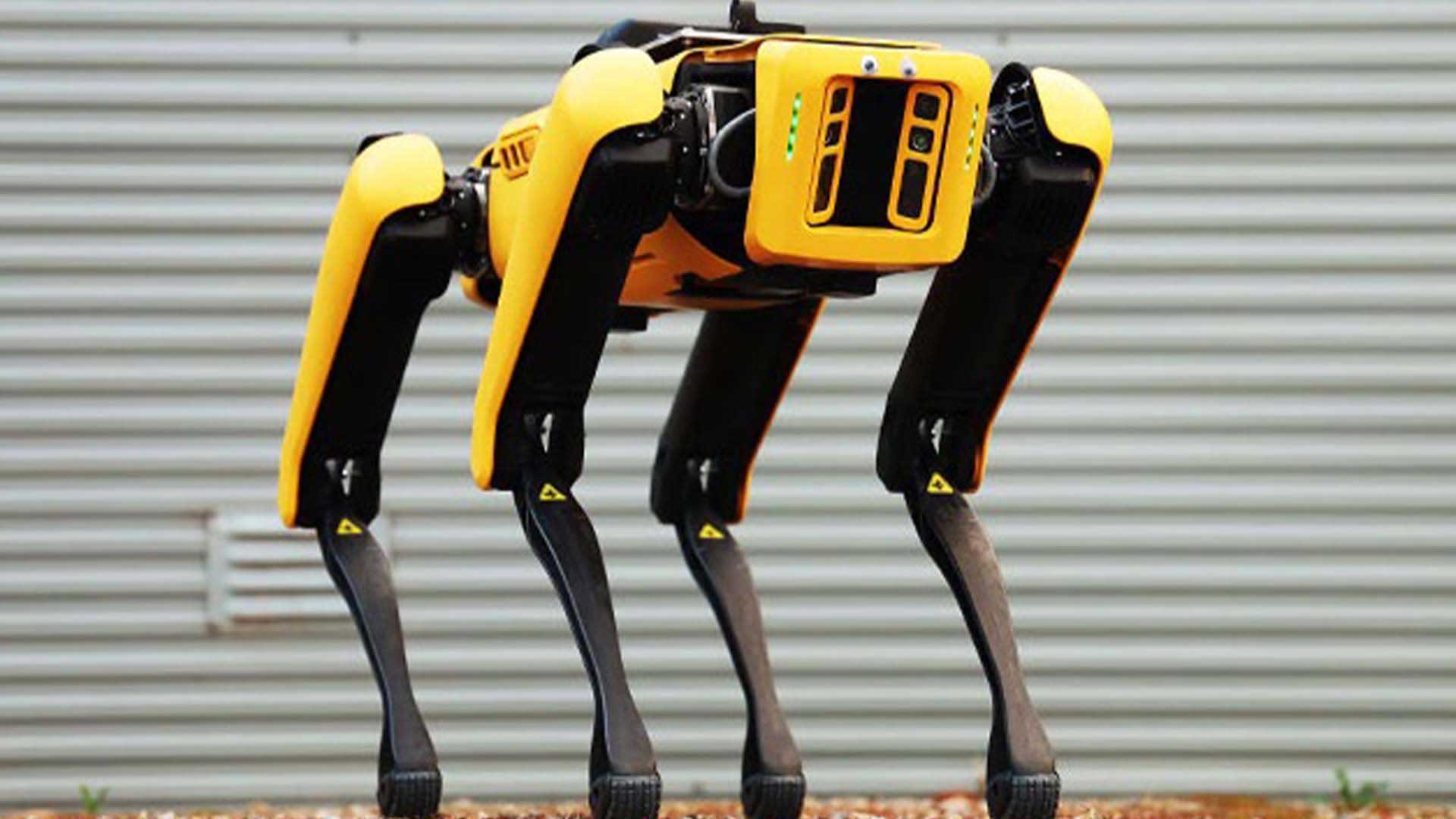 Spot the robot dog used by South Australia's power distributor to ...