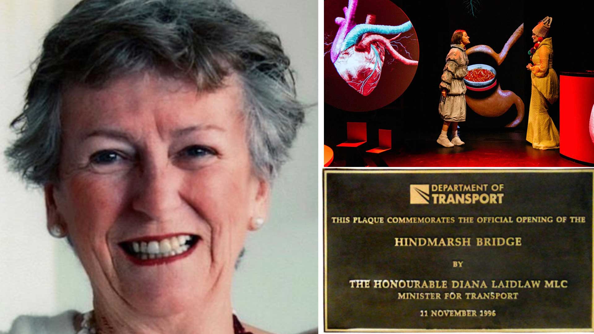 Diana Laidlaw proves herself in multiple ministries through South ...