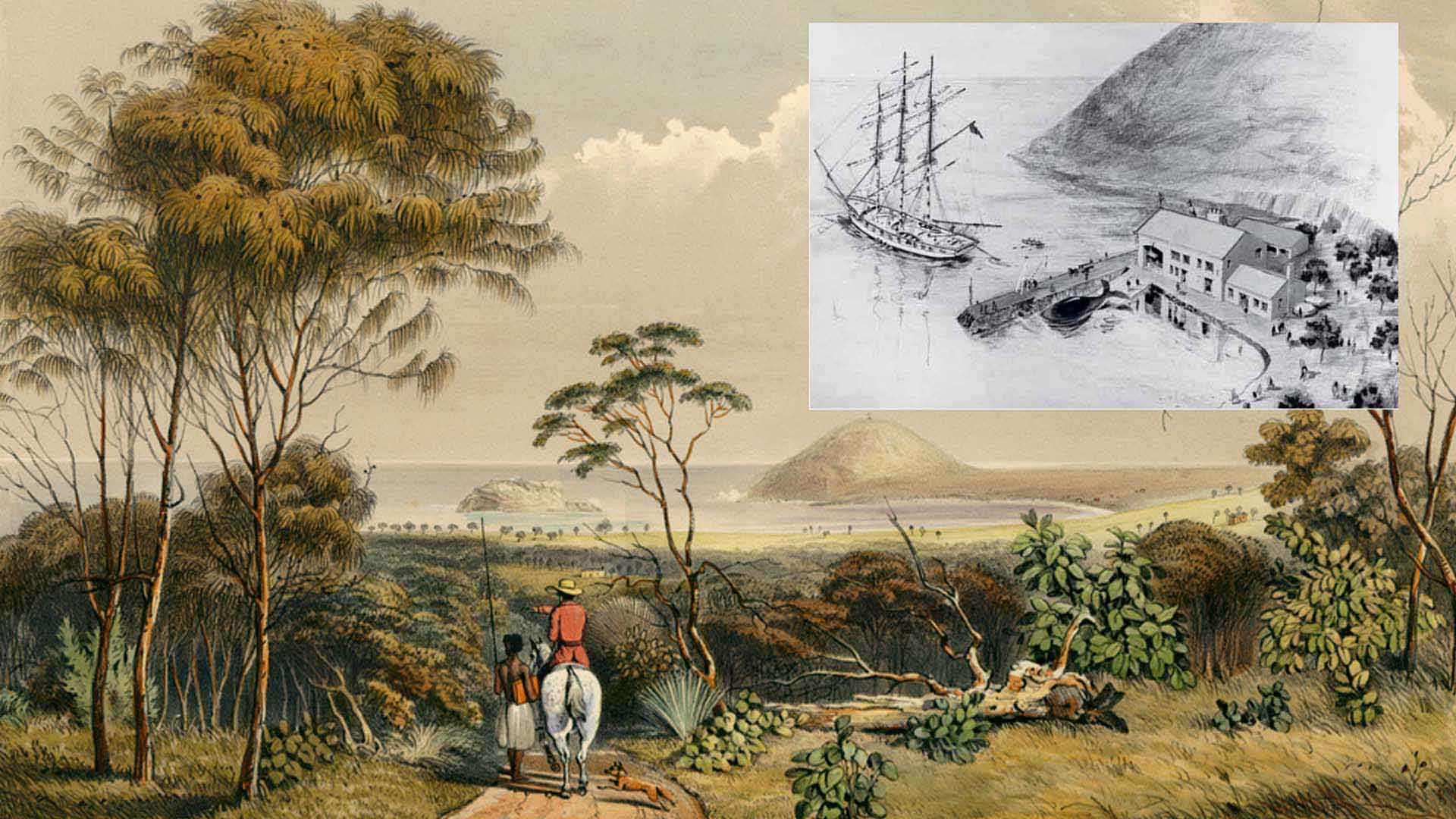 The South Australian Company and captain John Blenkinsopp stage whaling ...