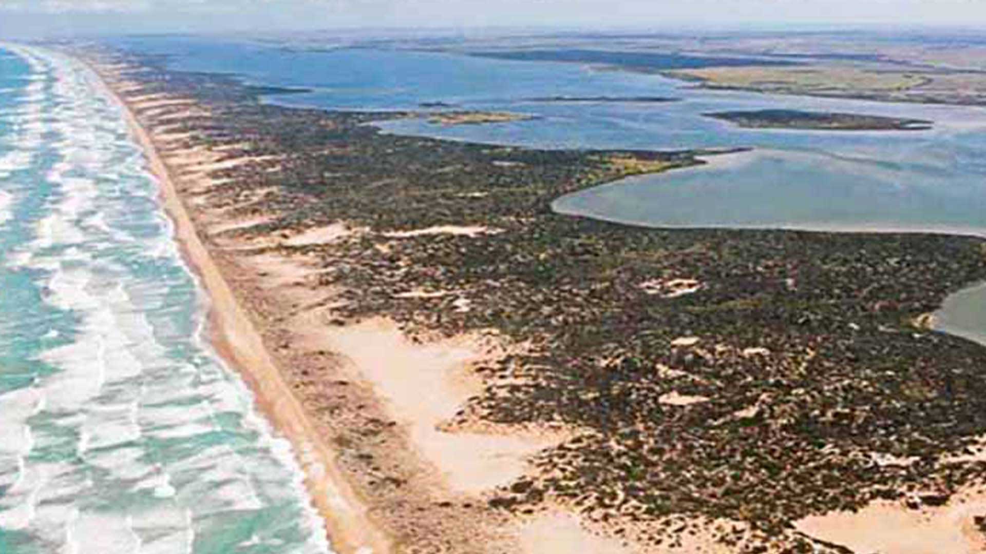 Coorong,145km haven for birdlife on South Australia's southeast coast ...
