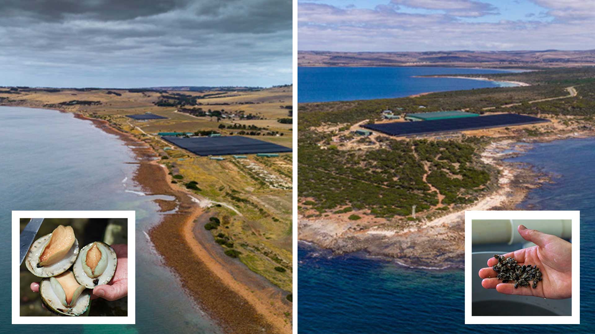 Kangaroo Island and Port Lincoln farms in South Australia part of ...