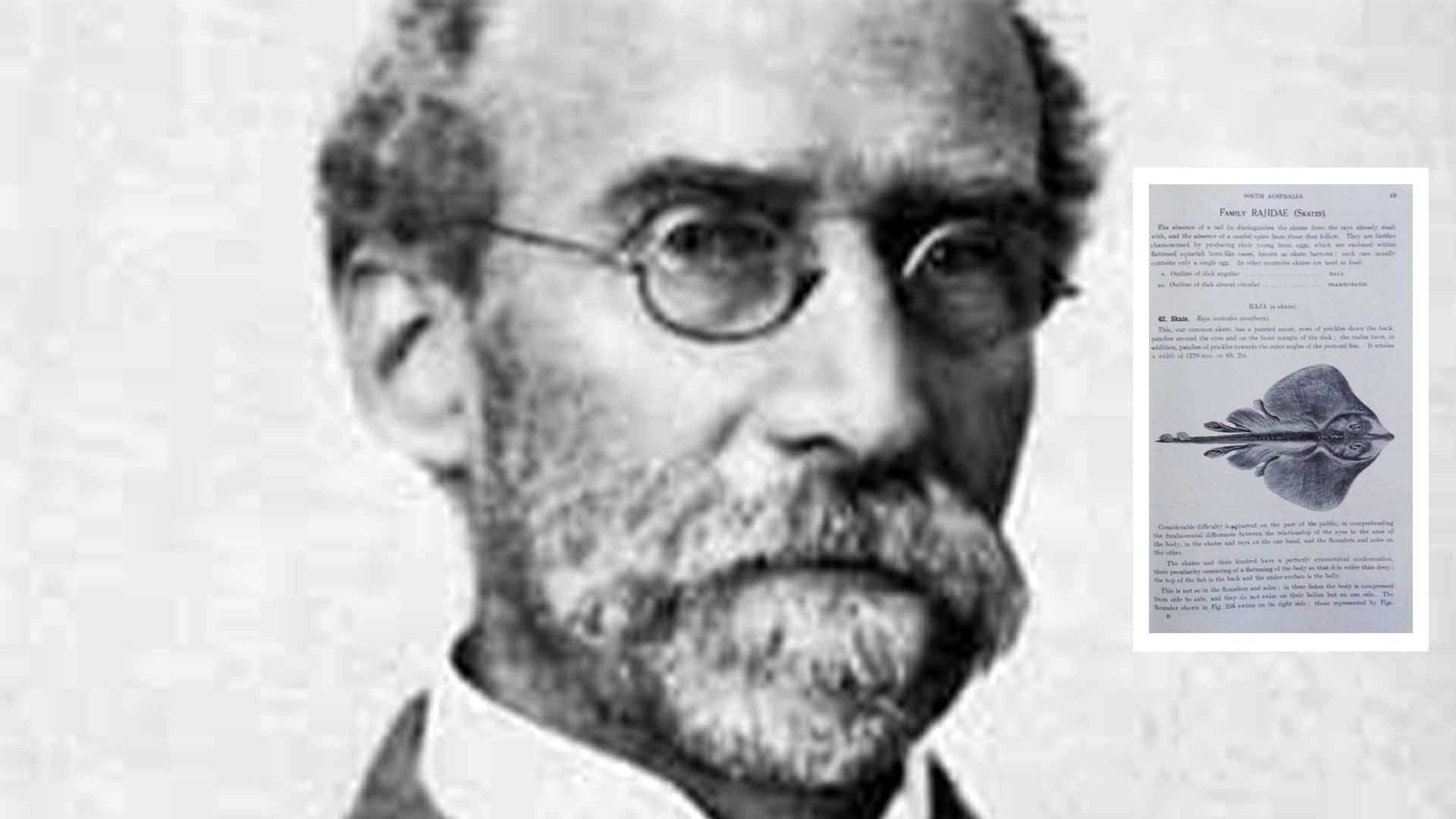 E.R. Waite becomes champion of natural science as South Australian ...