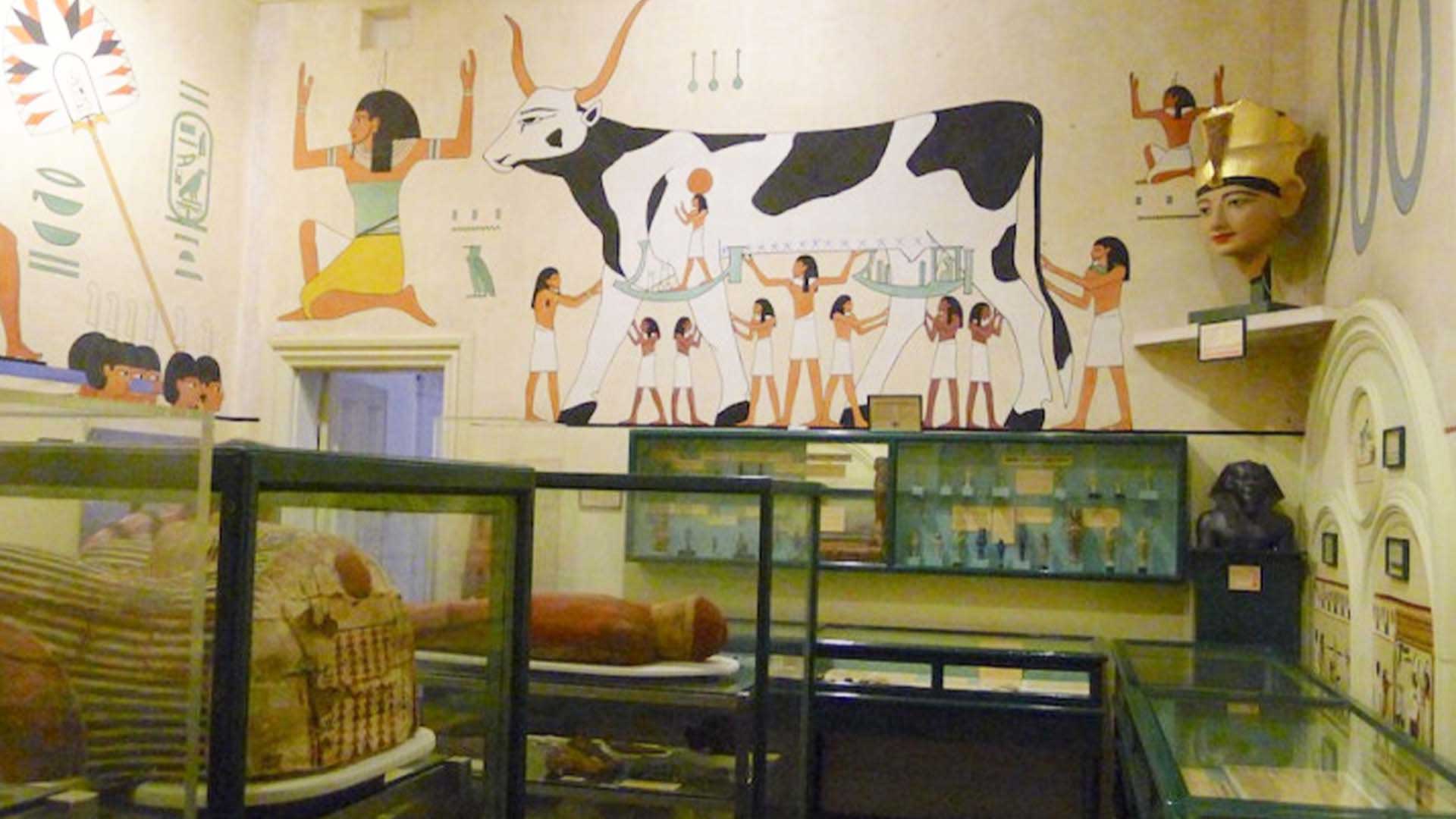 Ancient Egypt gallery at South Australian Museum nostalgic and ...