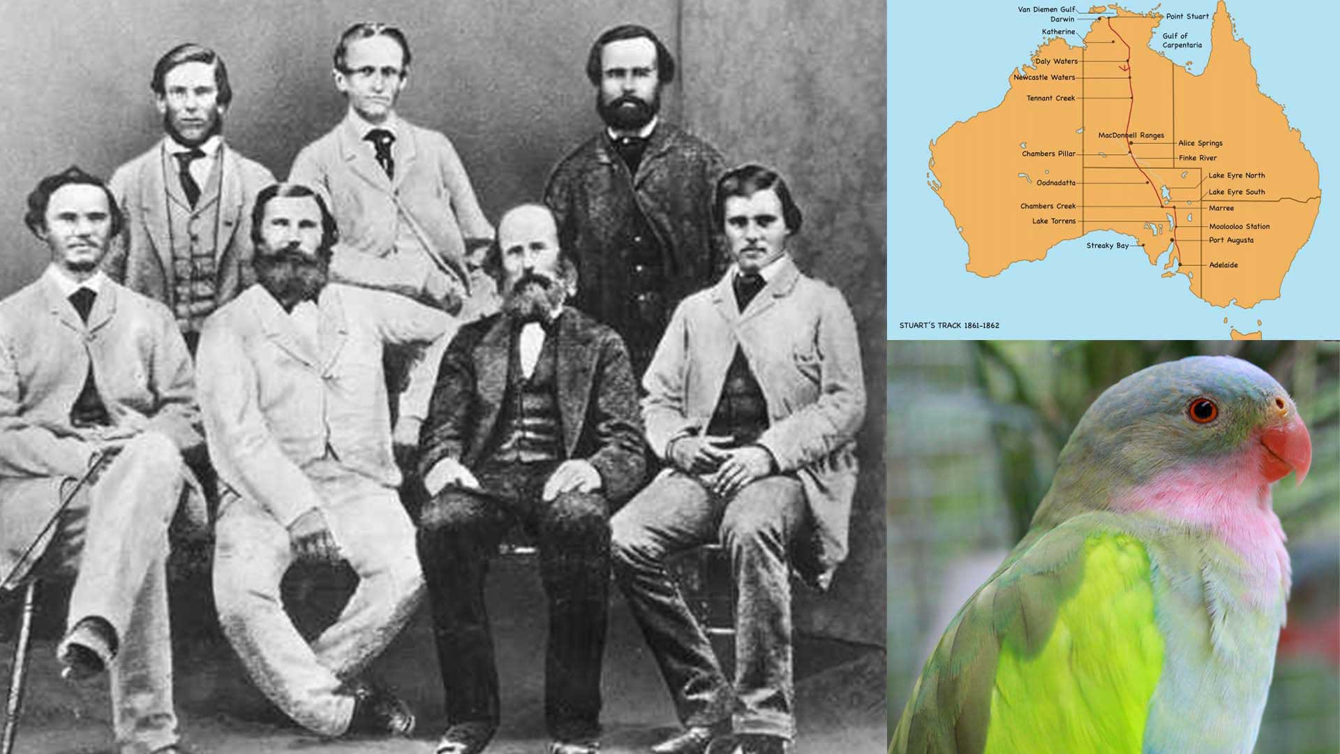 First curator George Waterhouse brings specimens from 1861 continental ...