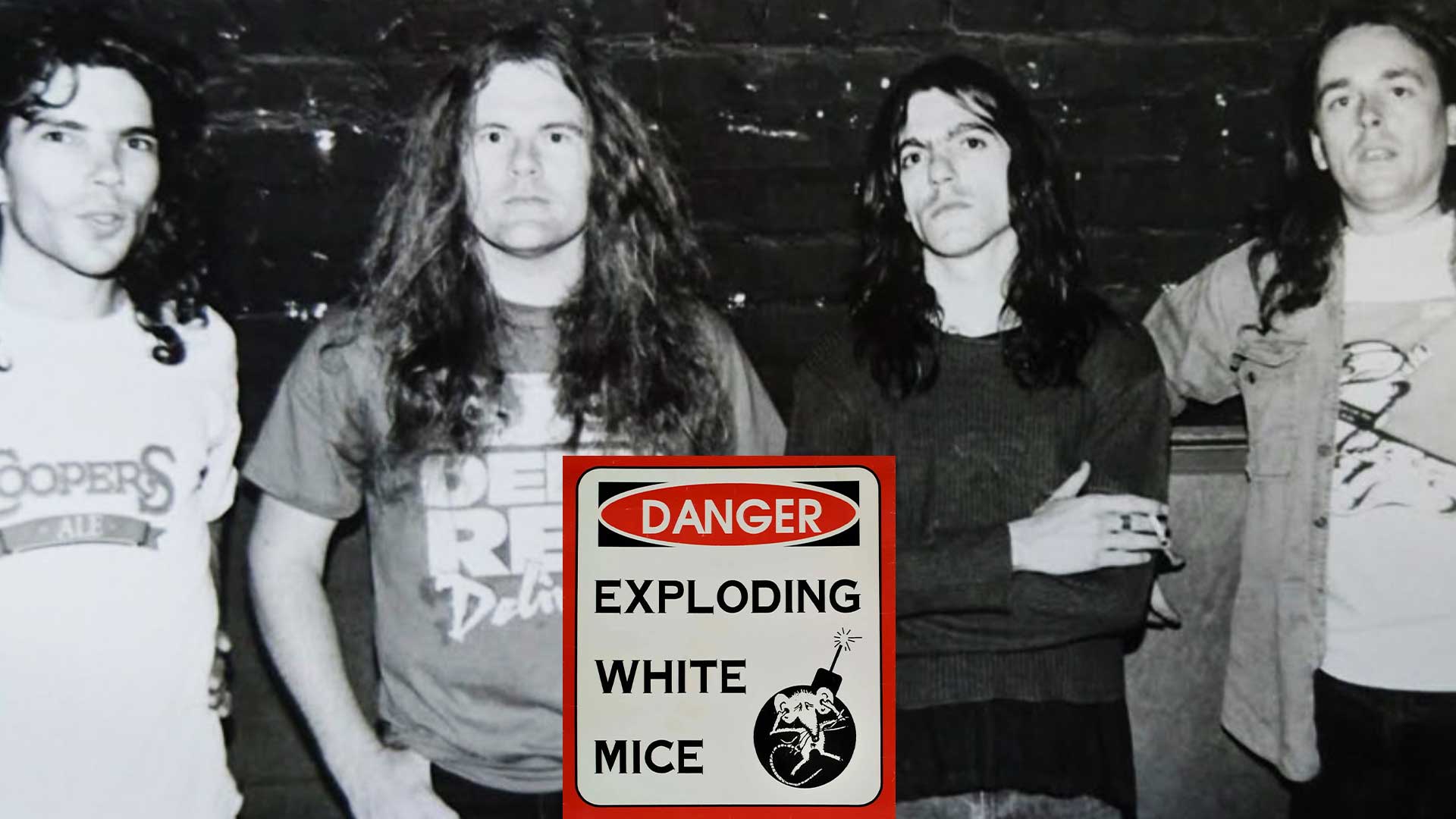 Exploding White Mice a punk-pop storm from Adelaide making waves ...
