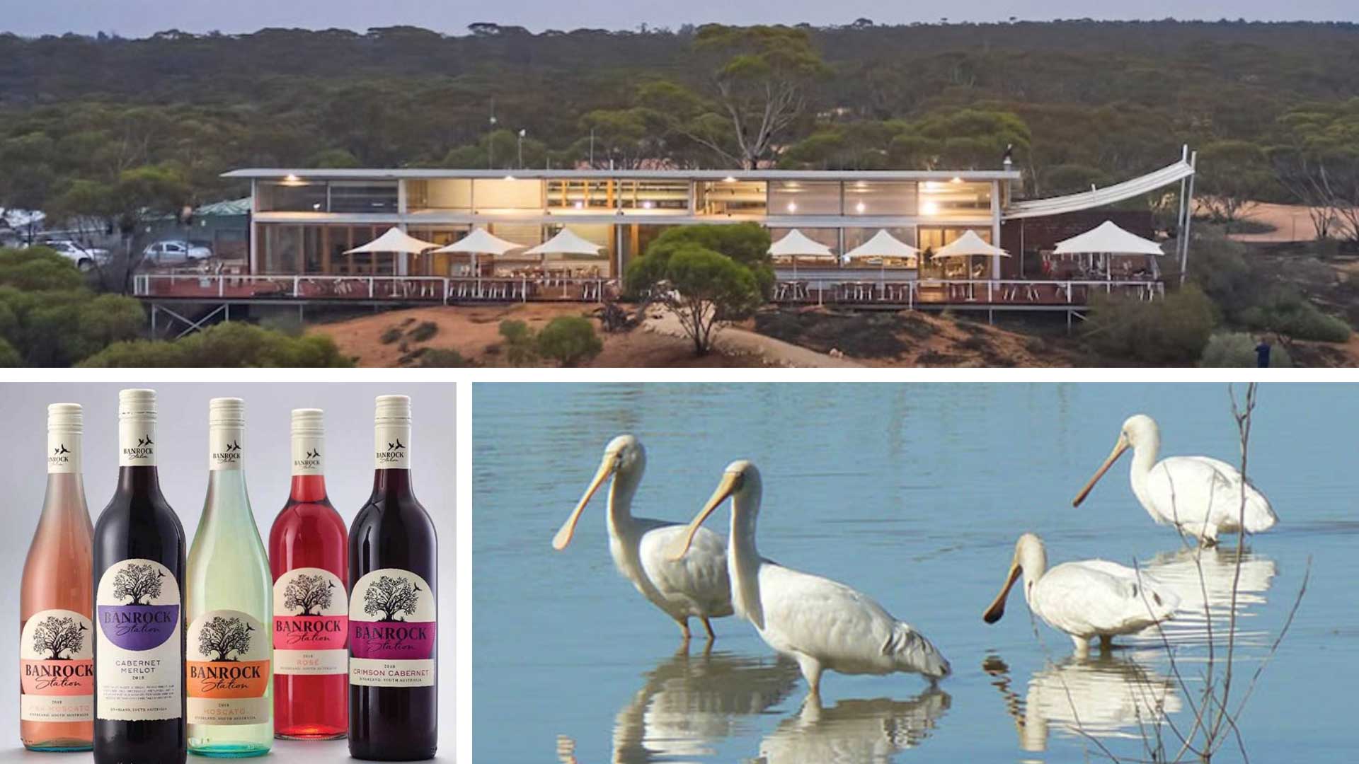 Banrock Station blends winery and world-recognised wetlands at South ...