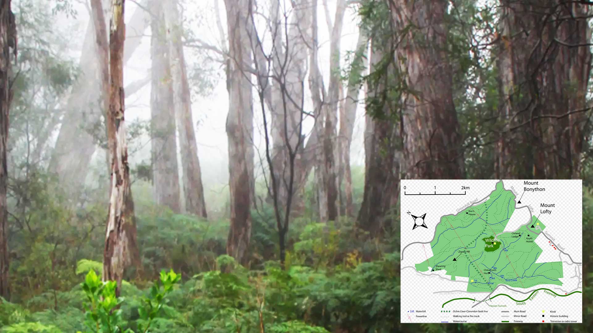 Cleland National Park in near-city Adelaide Hills recognised among most ...