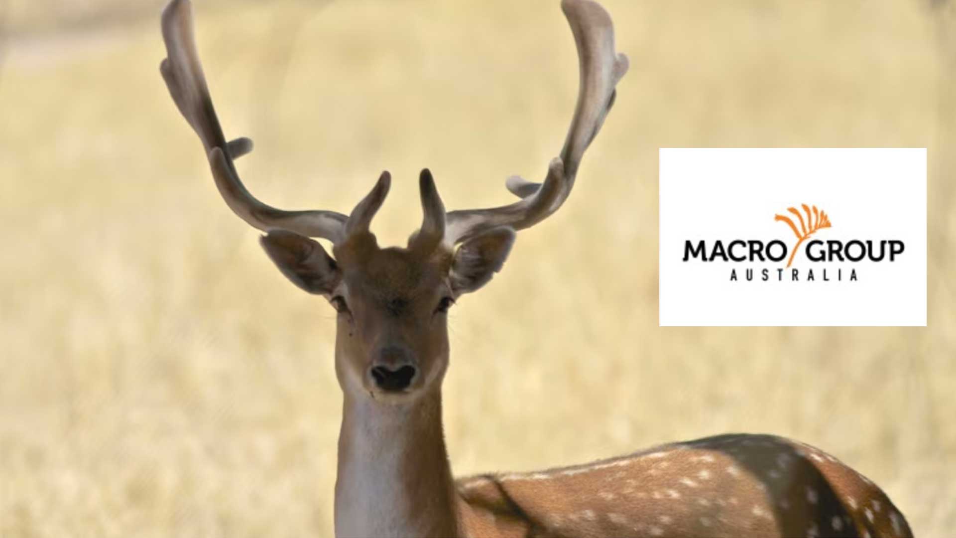 Macro Meats gets 2024 contract from South Australia southeast foresters ...