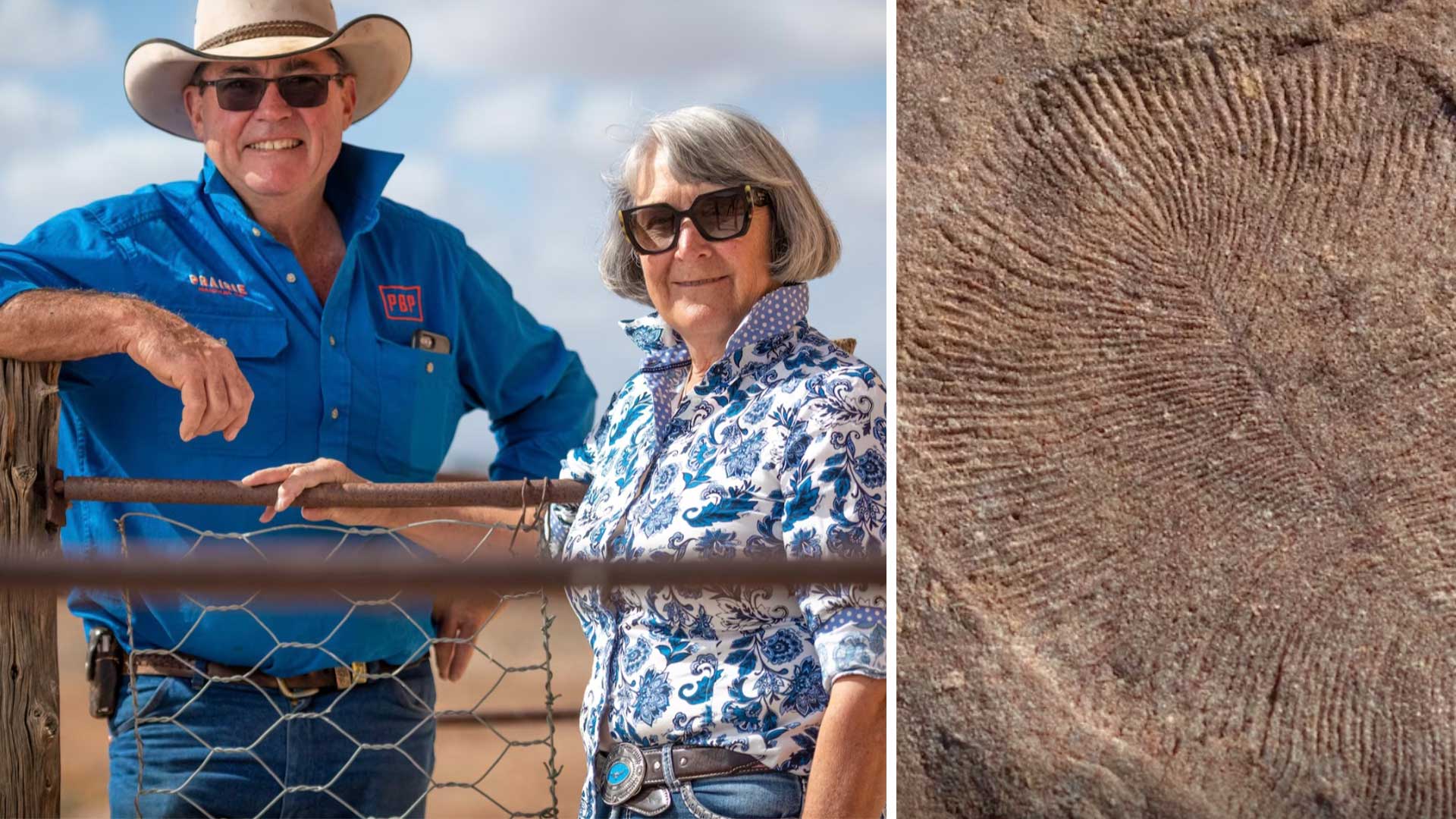 Ross Fargher a strong guardian for 40 years of Ediacaran fossils on his ...