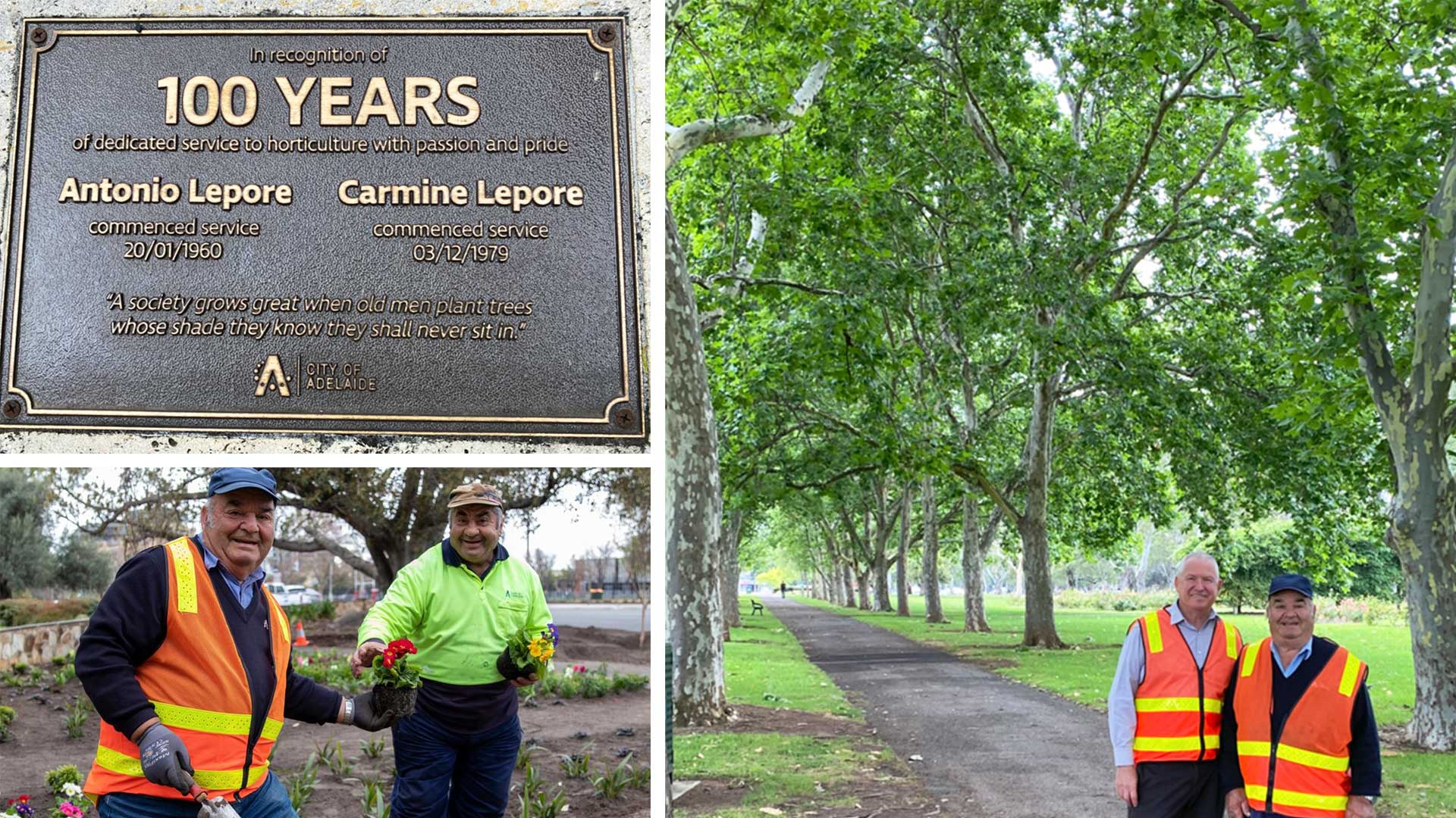 Brothers Antonio and Carmine Lepore give a combined century of ...