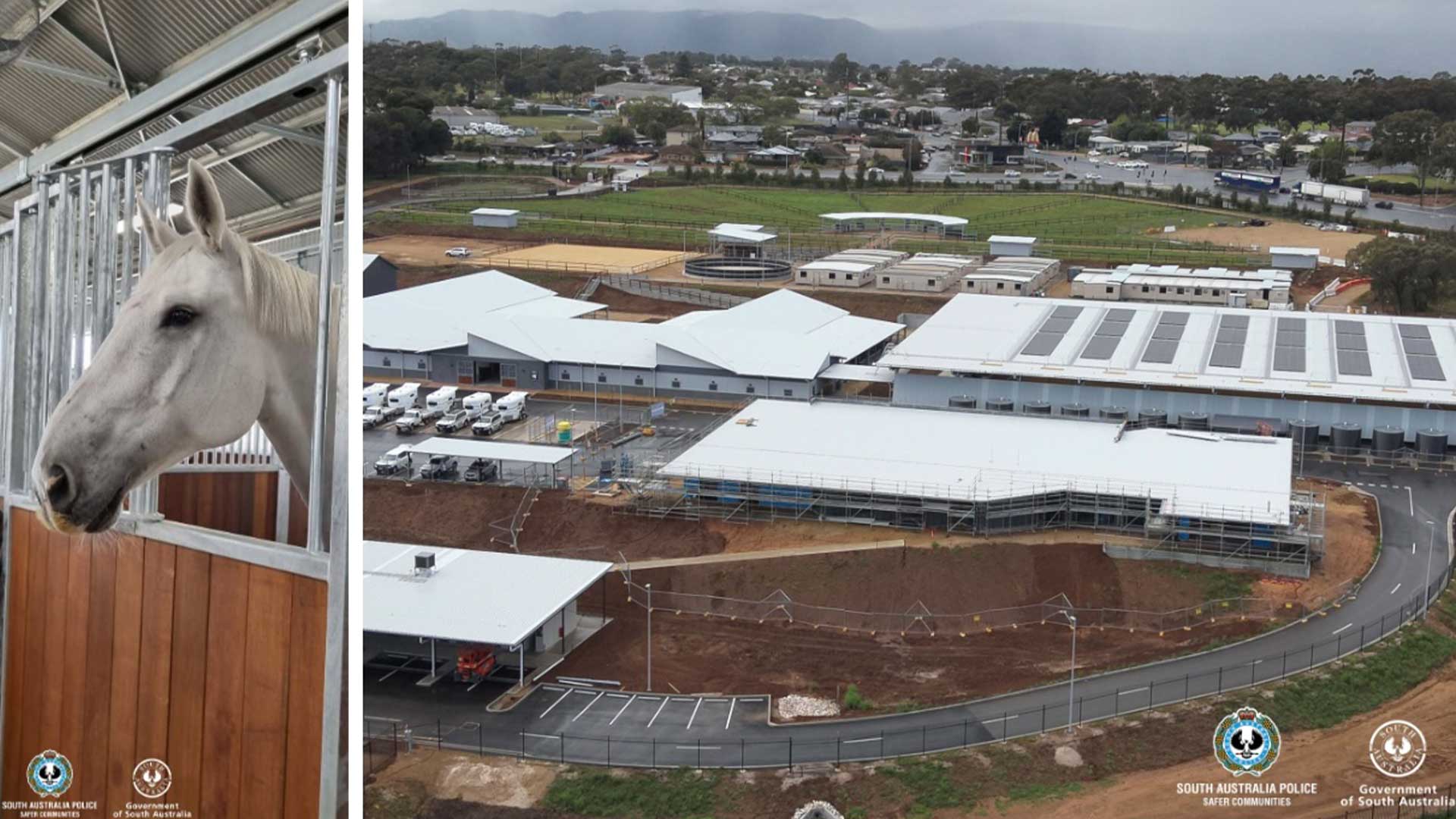 South Australia police greys moved to new home at Gepps Cross for ...