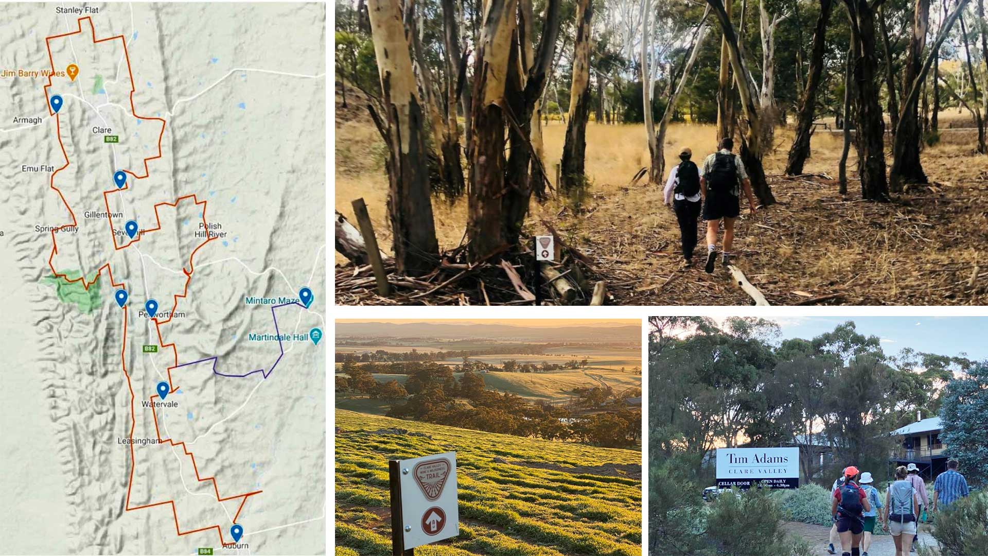 Clare Valley Wine and Wilderness Trail opens a complete walking ...