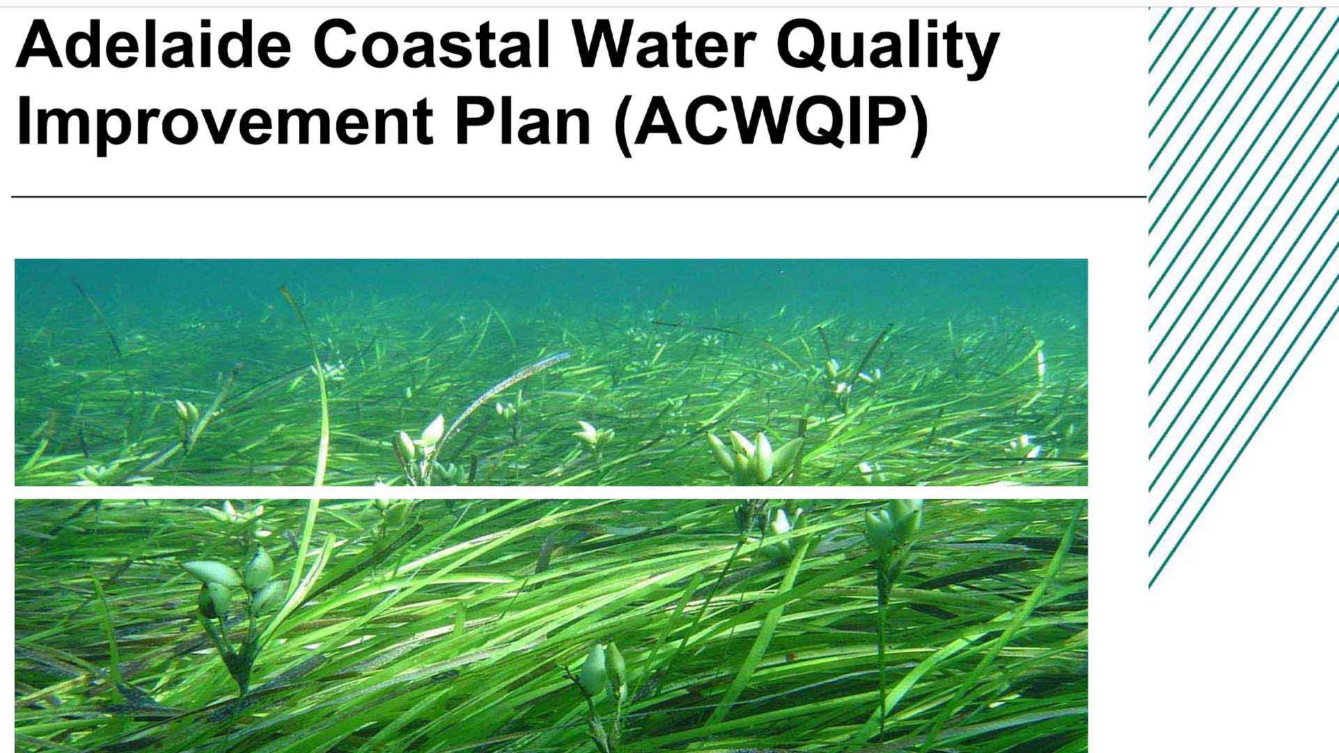 Adelaide coastal waters study and plan in 2013 highlights seagrass loss ...