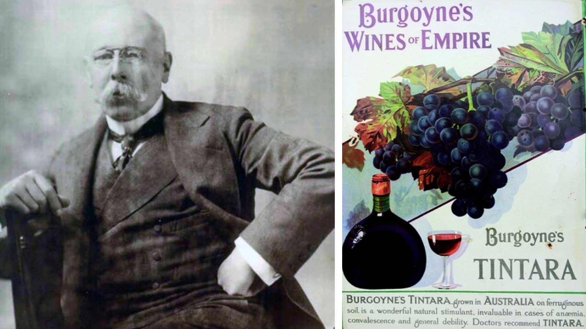P.B. Burgoyne a titan of Australian wine import to UK from 1870s after ...