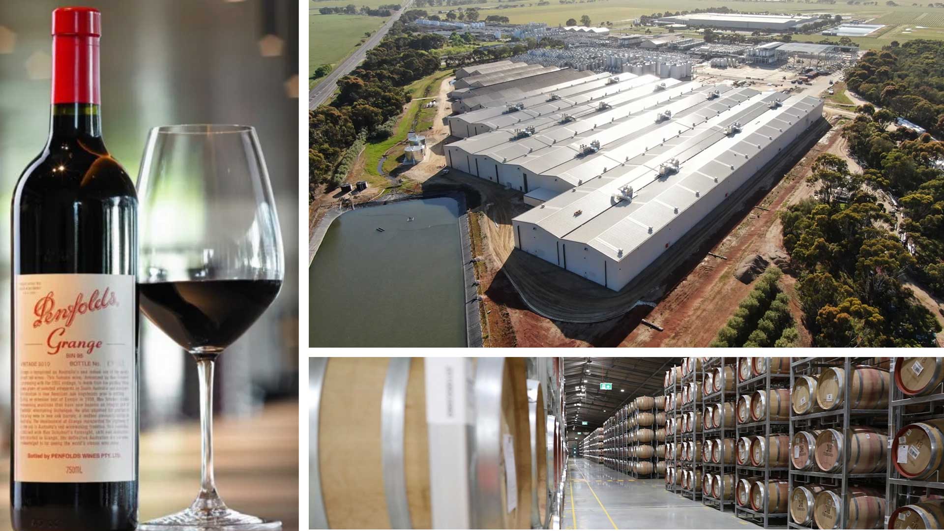 Treasury Wine Estate Logo CVA And Treasury Wine Estates Partnership: