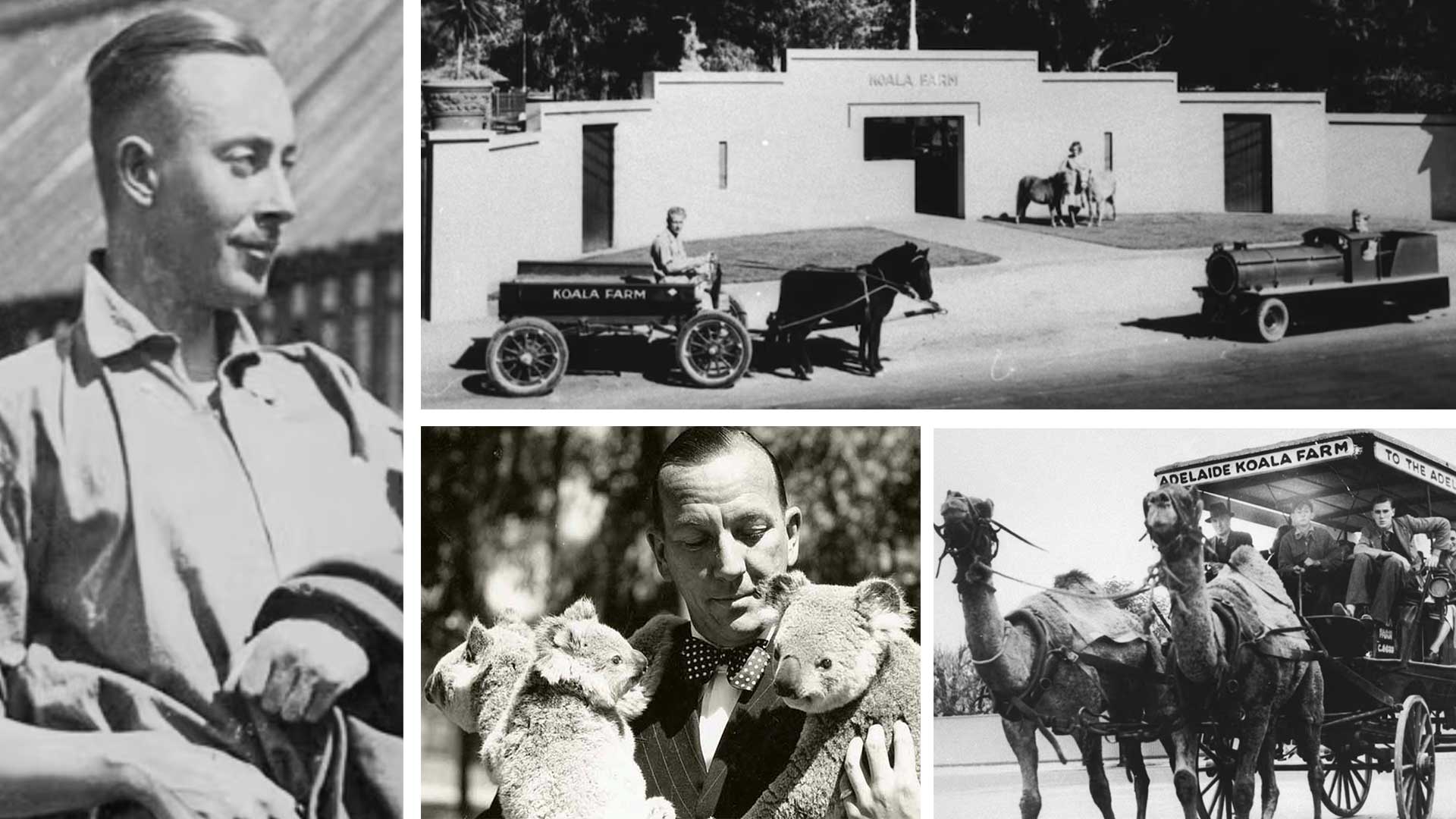 Controversial Keith Minchin runs snake park then koala farm in the park ...