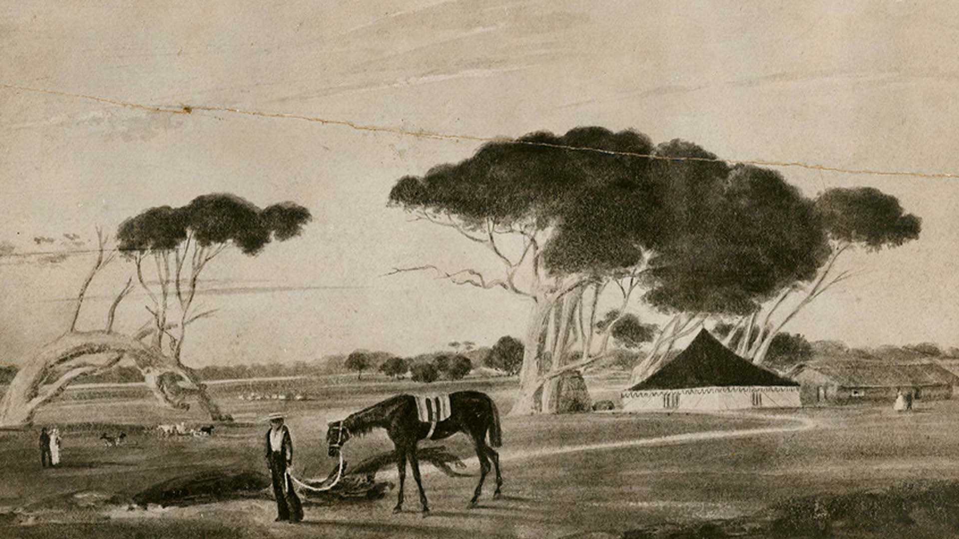 Robert Gouger's wife Harriet, William Light victims of tuberculosis ...